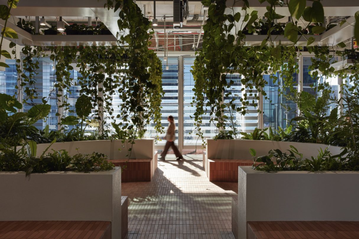 Celebrating 60 Years of COX — COX